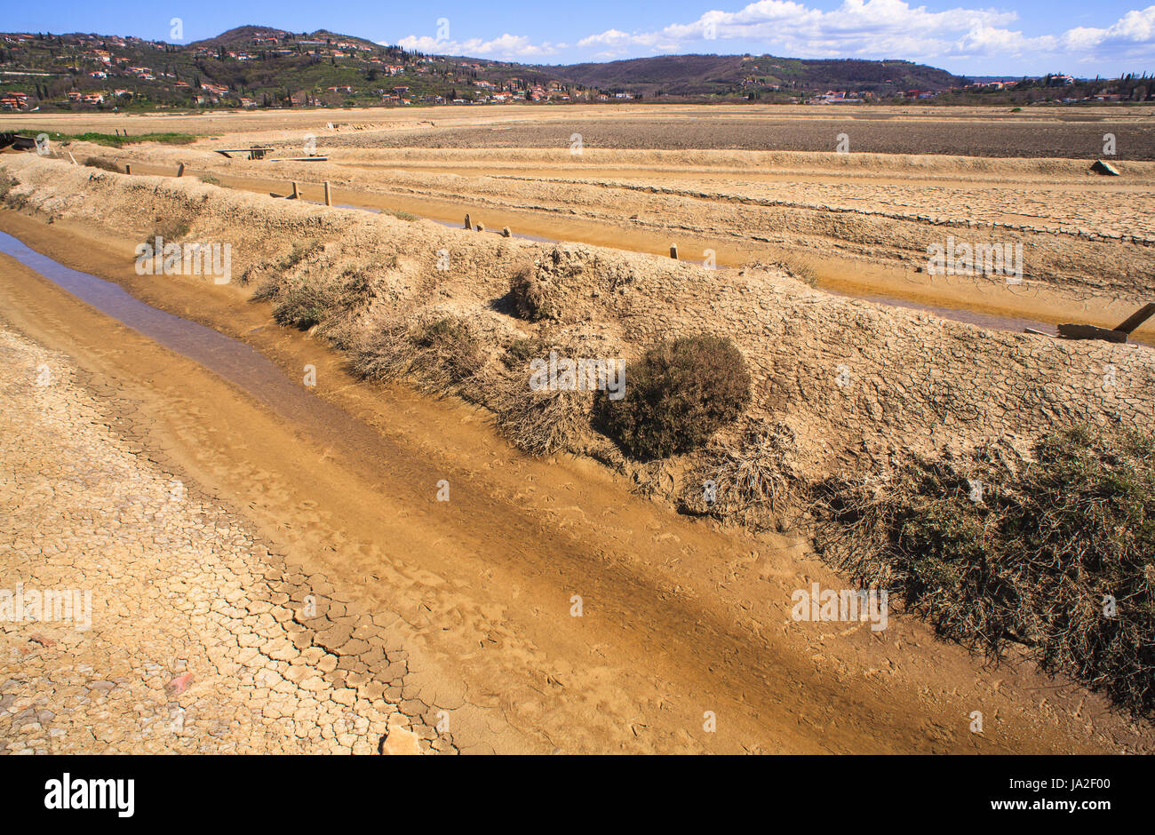 lock, water, ground, soil, earth, humus, field, summer, summerly ...