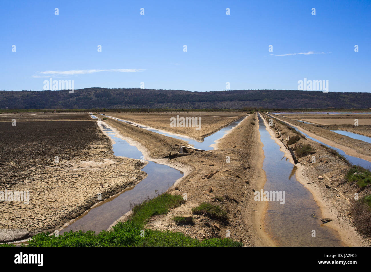 lock, water, ground, soil, earth, humus, field, summer, summerly ...