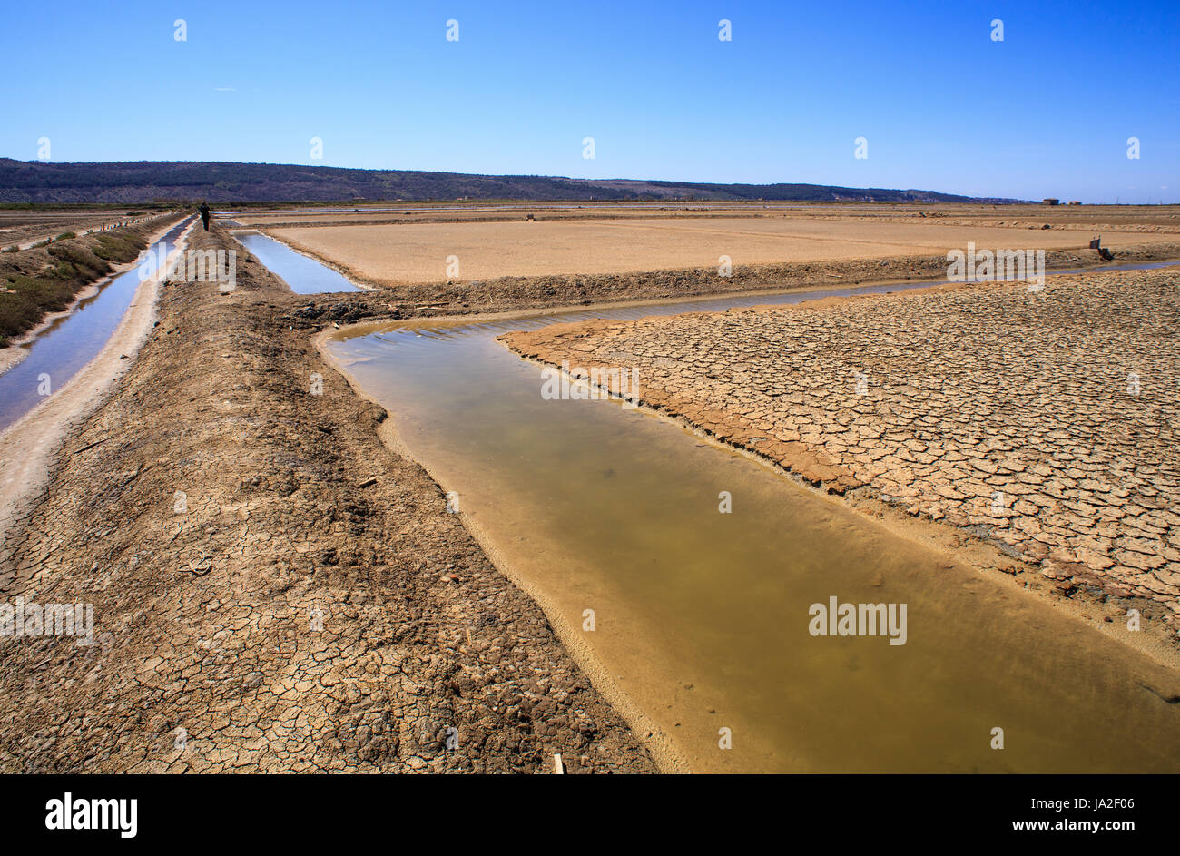 lock, water, ground, soil, earth, humus, field, summer, summerly ...