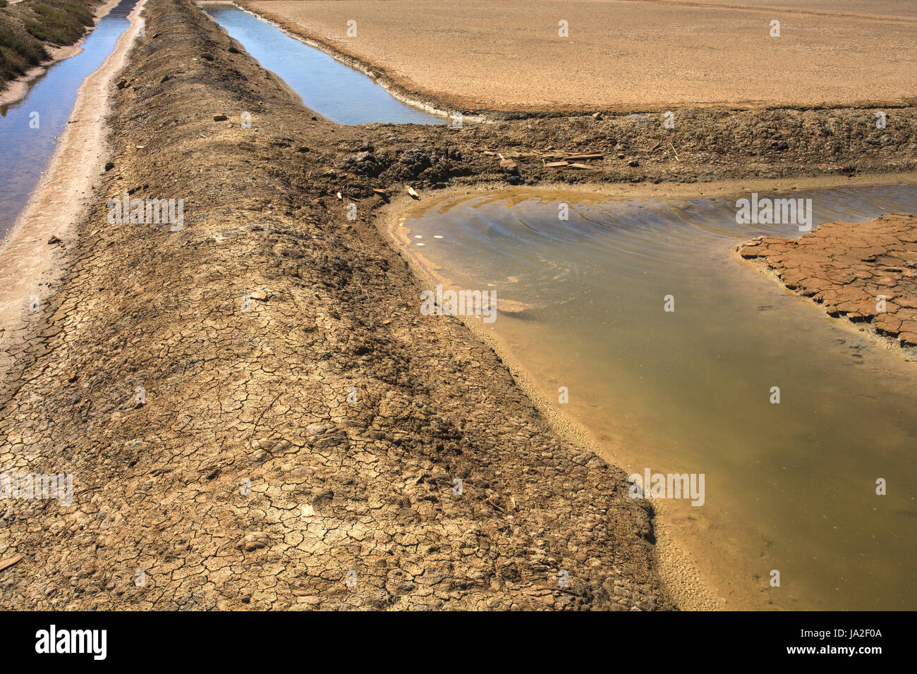lock, water, ground, soil, earth, humus, field, summer, summerly ...