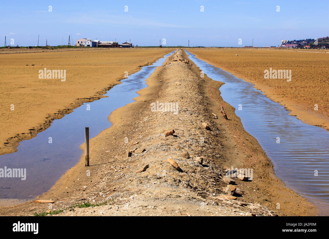 lock, water, ground, soil, earth, humus, field, summer, summerly ...