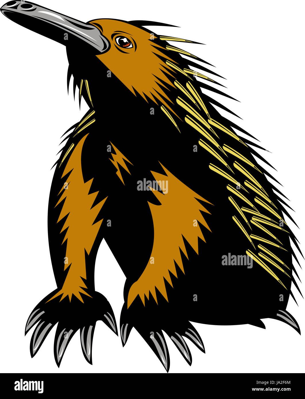 isolated, animal, illustration, wildlife, retro, spiny anteater ...