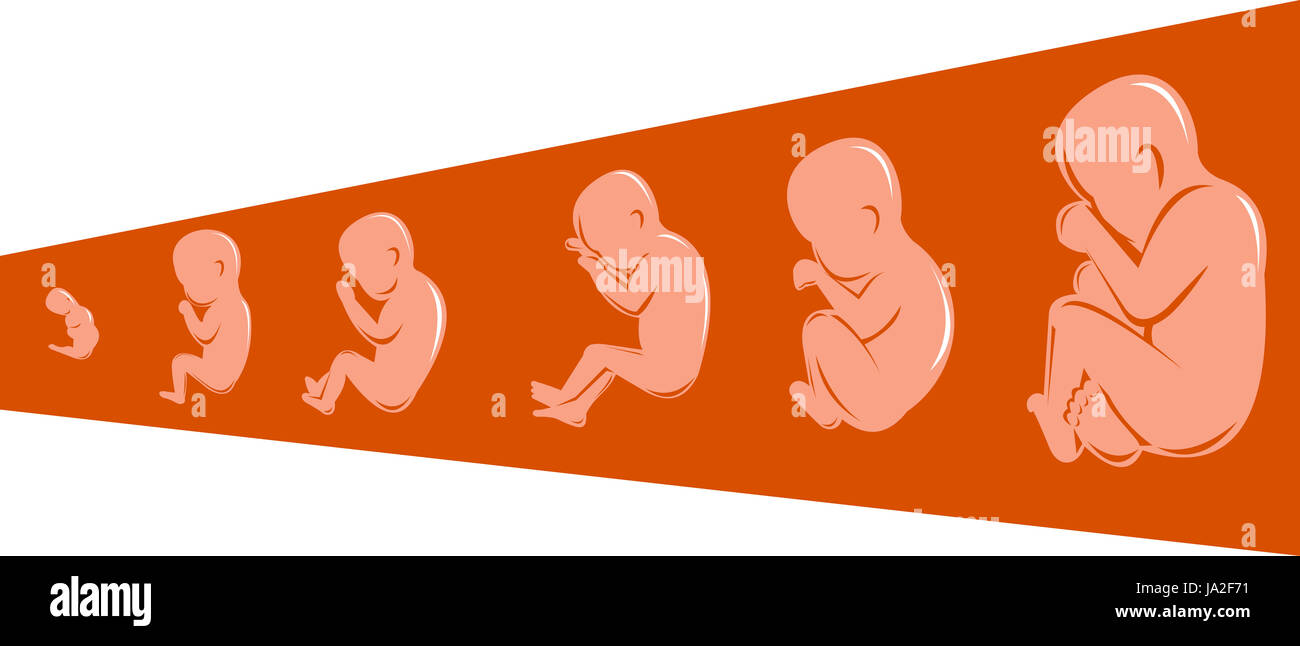 Baby Illustration High Resolution Stock Photography and Images - Alamy