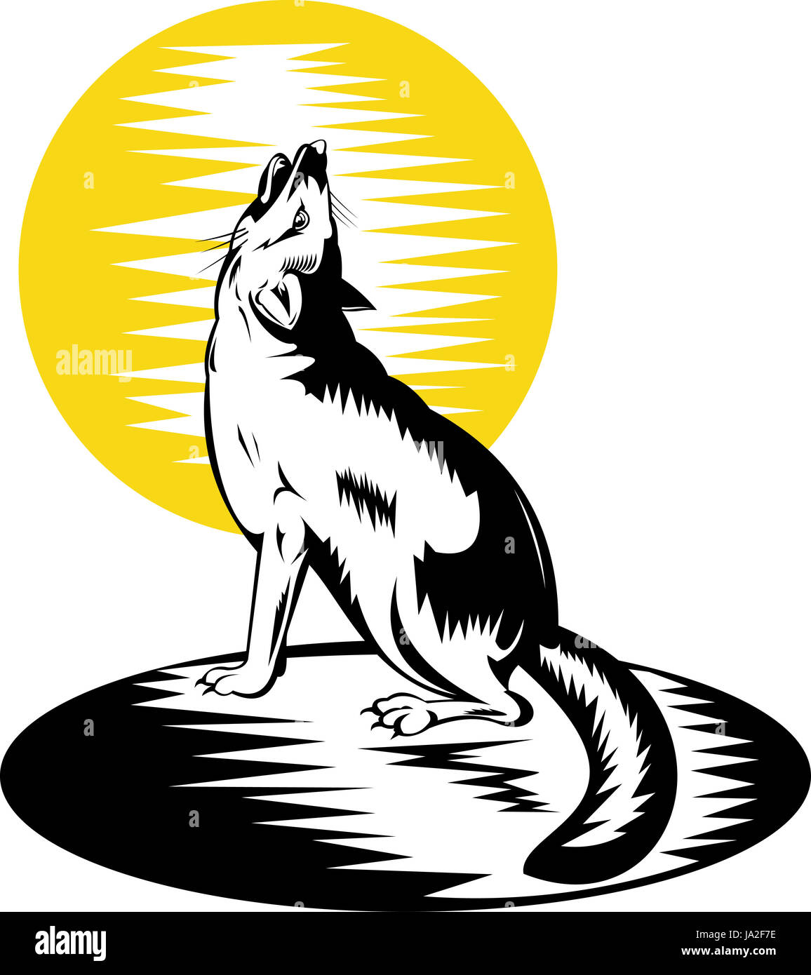 Fox howling hi-res stock photography and images - Alamy