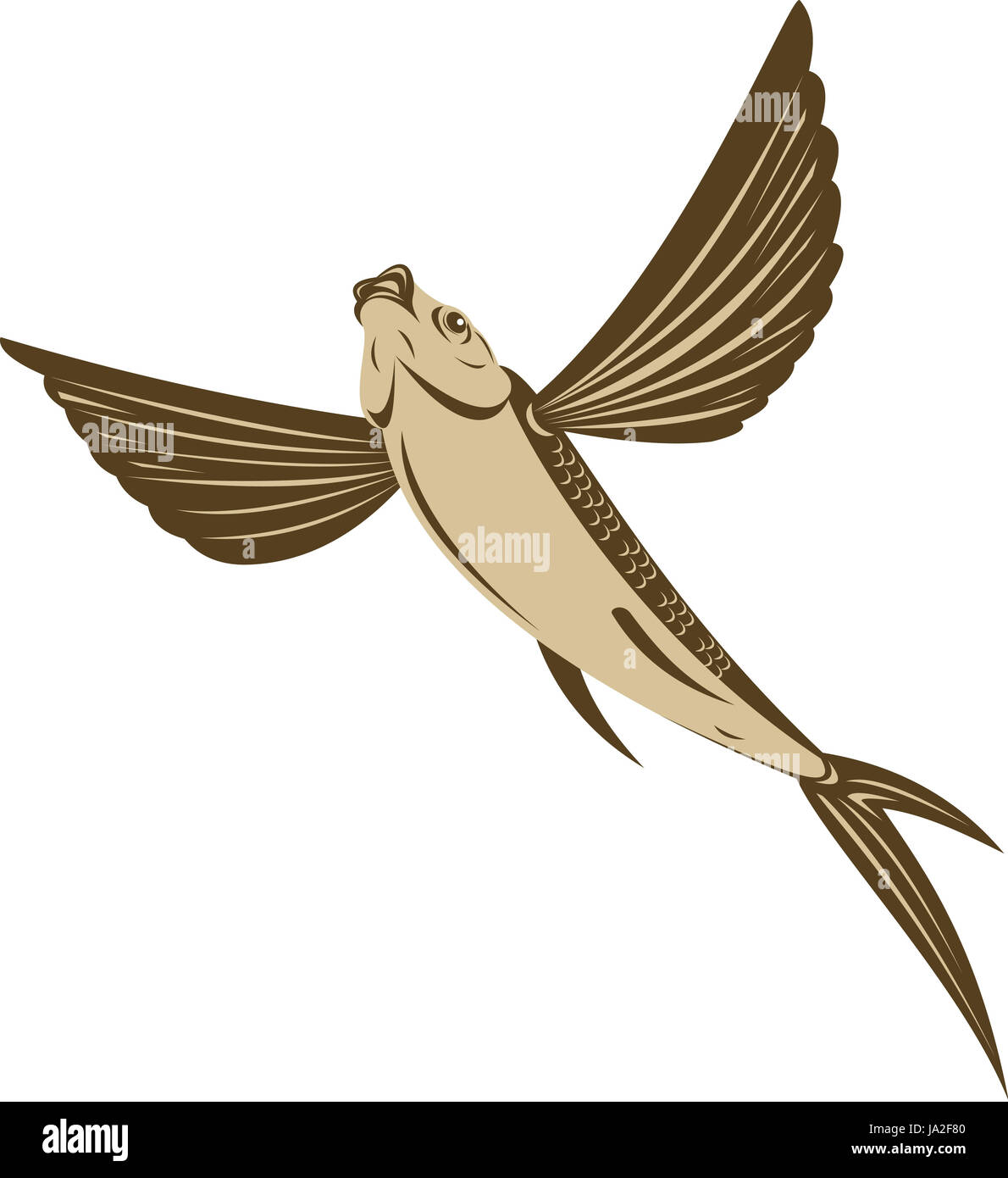 isolated, animal, fish, spring, bouncing, bounces, hop, skipping ...