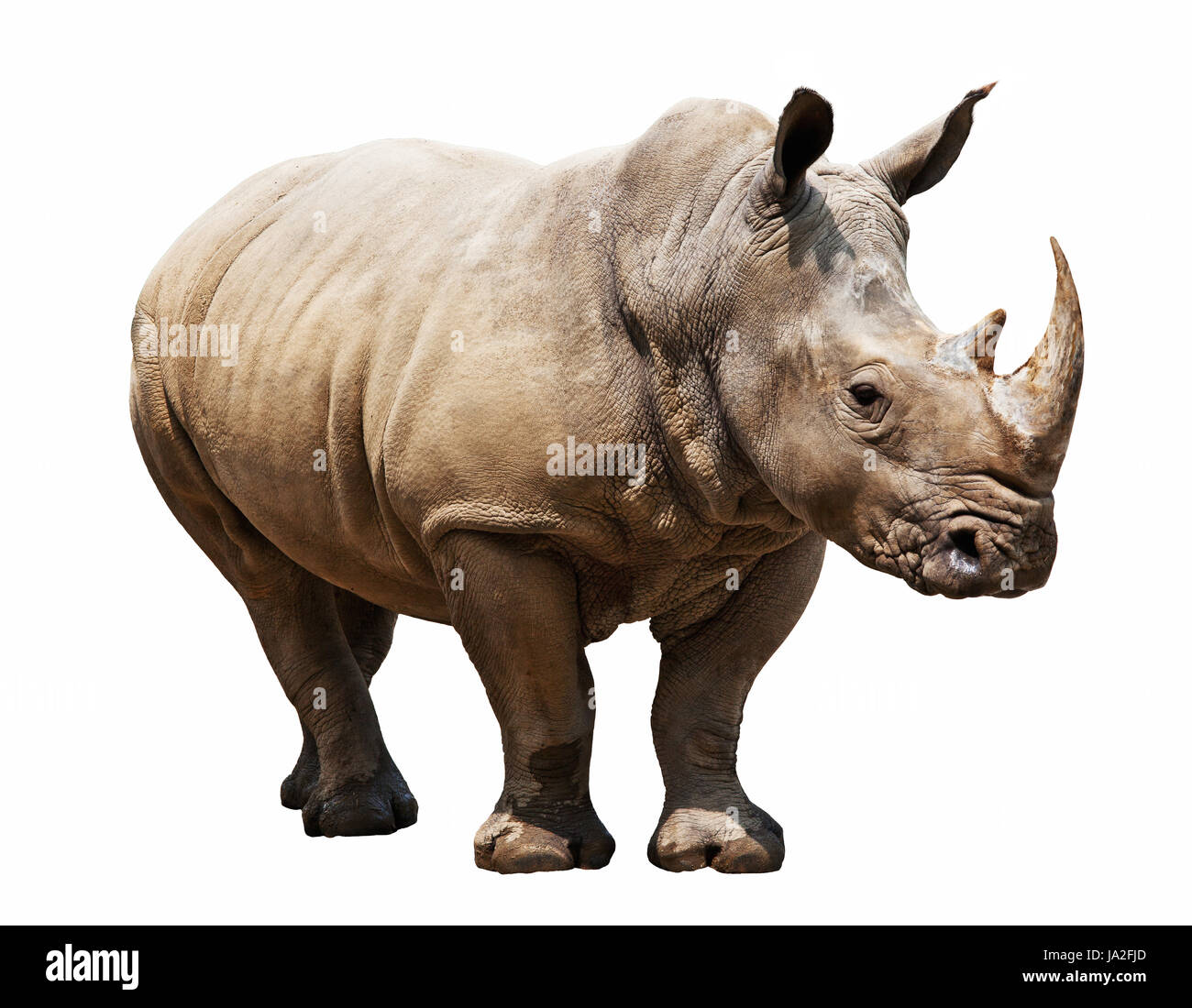 big, large, enormous, extreme, powerful, imposing, immense, relevant ...