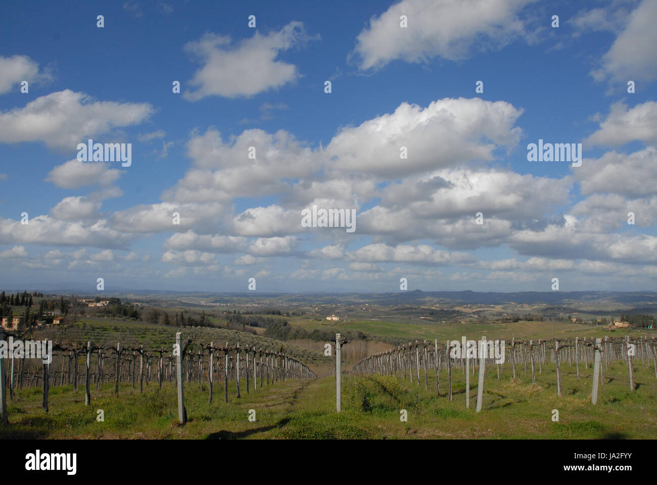spring, tuscany, italy, tree, trees, agriculture, farming, spring ...
