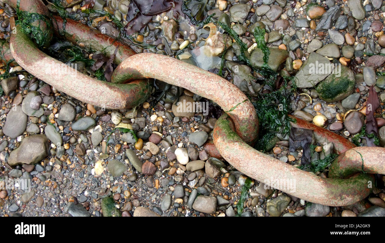 chain, kelp, silicic, pebbles, mud, chain cable, seaweed, chain, rusty ...