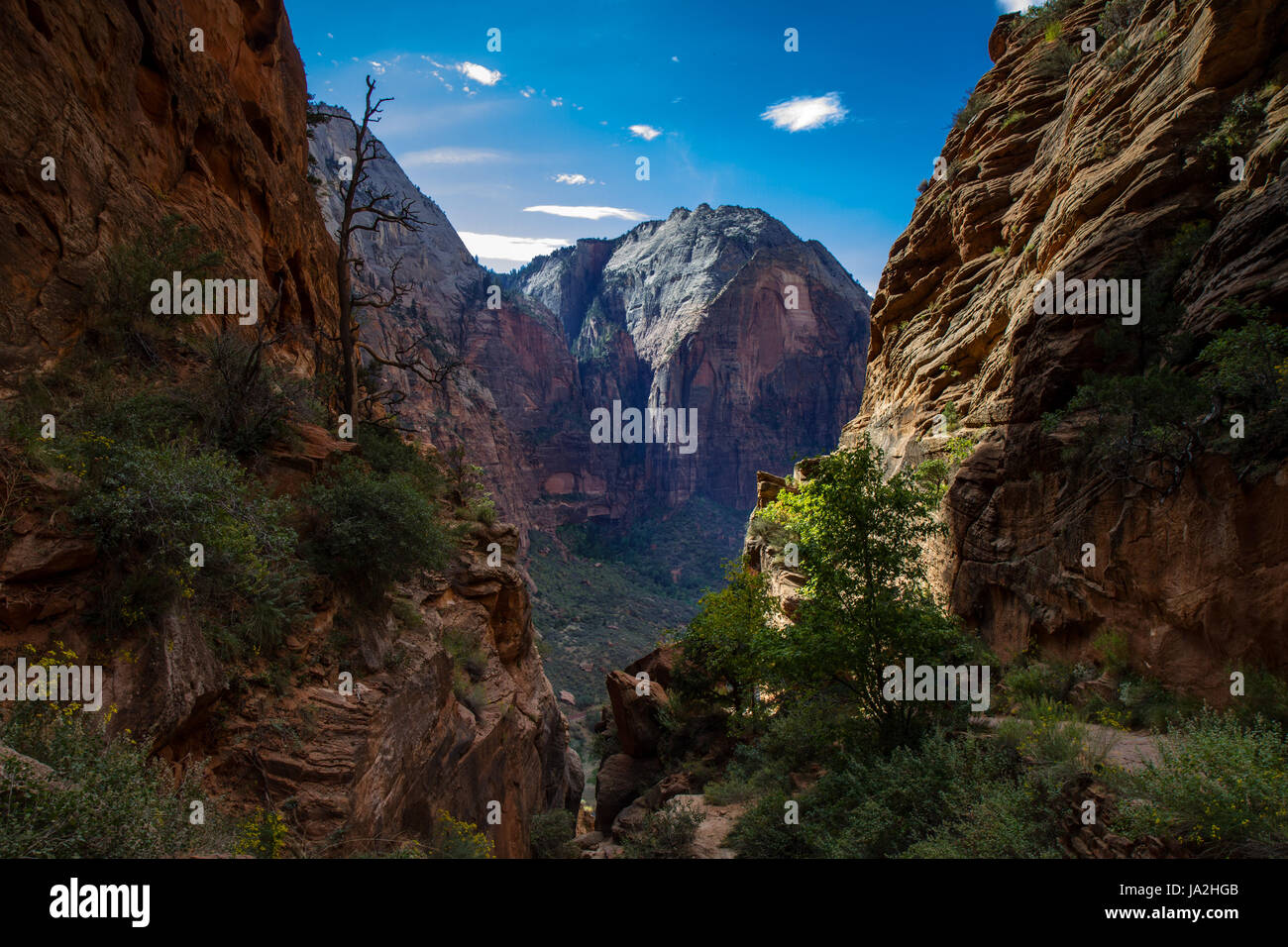 national park, usa, angel, angels, sight, view, outlook, perspective ...