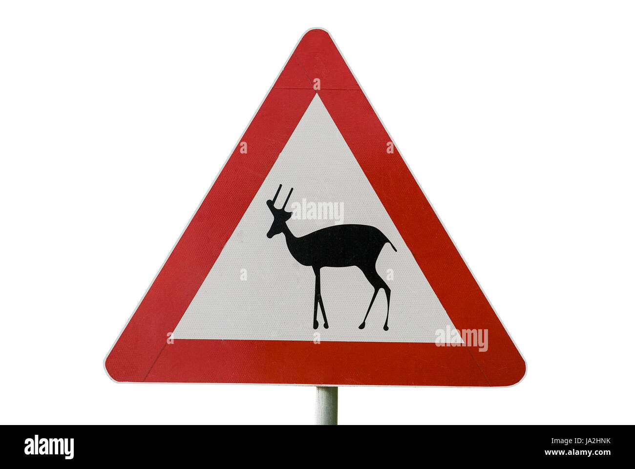 isolated, caution, warning, deer, sign, signboard, road, path, way ...