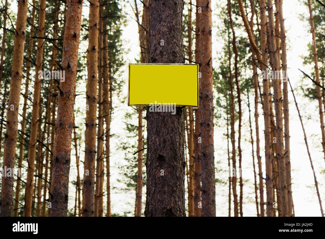 board, environment, enviroment, model, design, project, concept, plan ...
