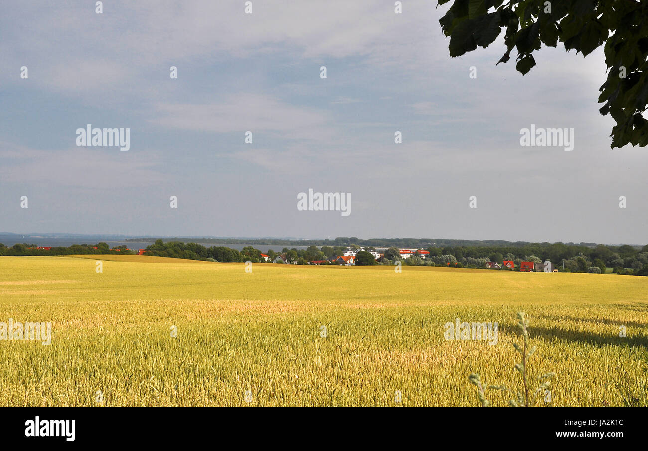 agriculture, farming, water, baltic sea, salt water, sea, ocean, fields ...