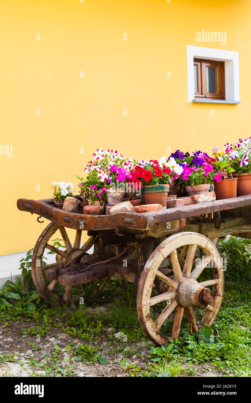 colour, model, design, project, concept, plan, draft, garden, flower ...