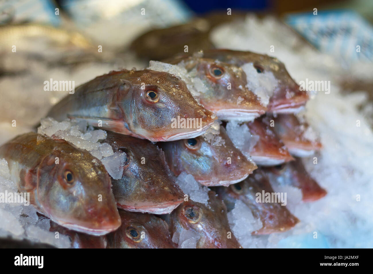 fish, shop window, fish-market, weekly market, marketplace, flea market ...