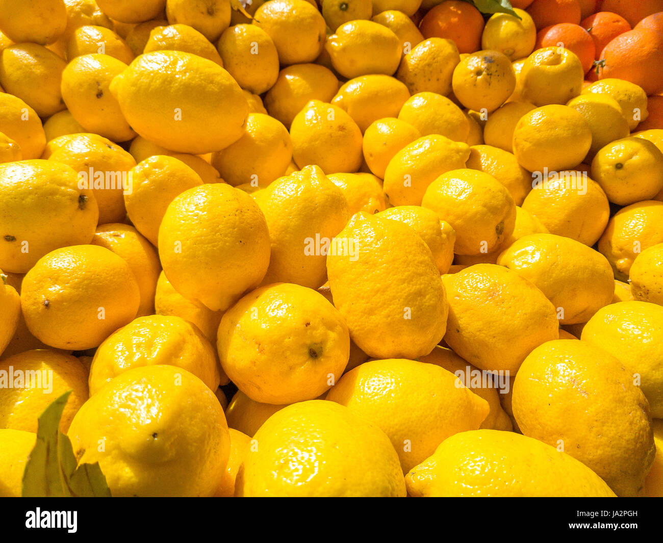 Big bunch of lemons at farmers market Stock Photo - Alamy