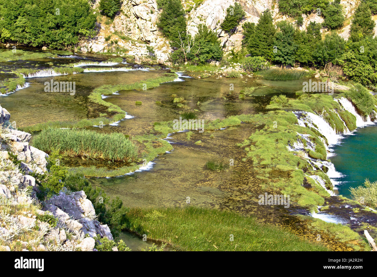 beautiful, beauteously, nice, environment, enviroment, tree, flow, park ...