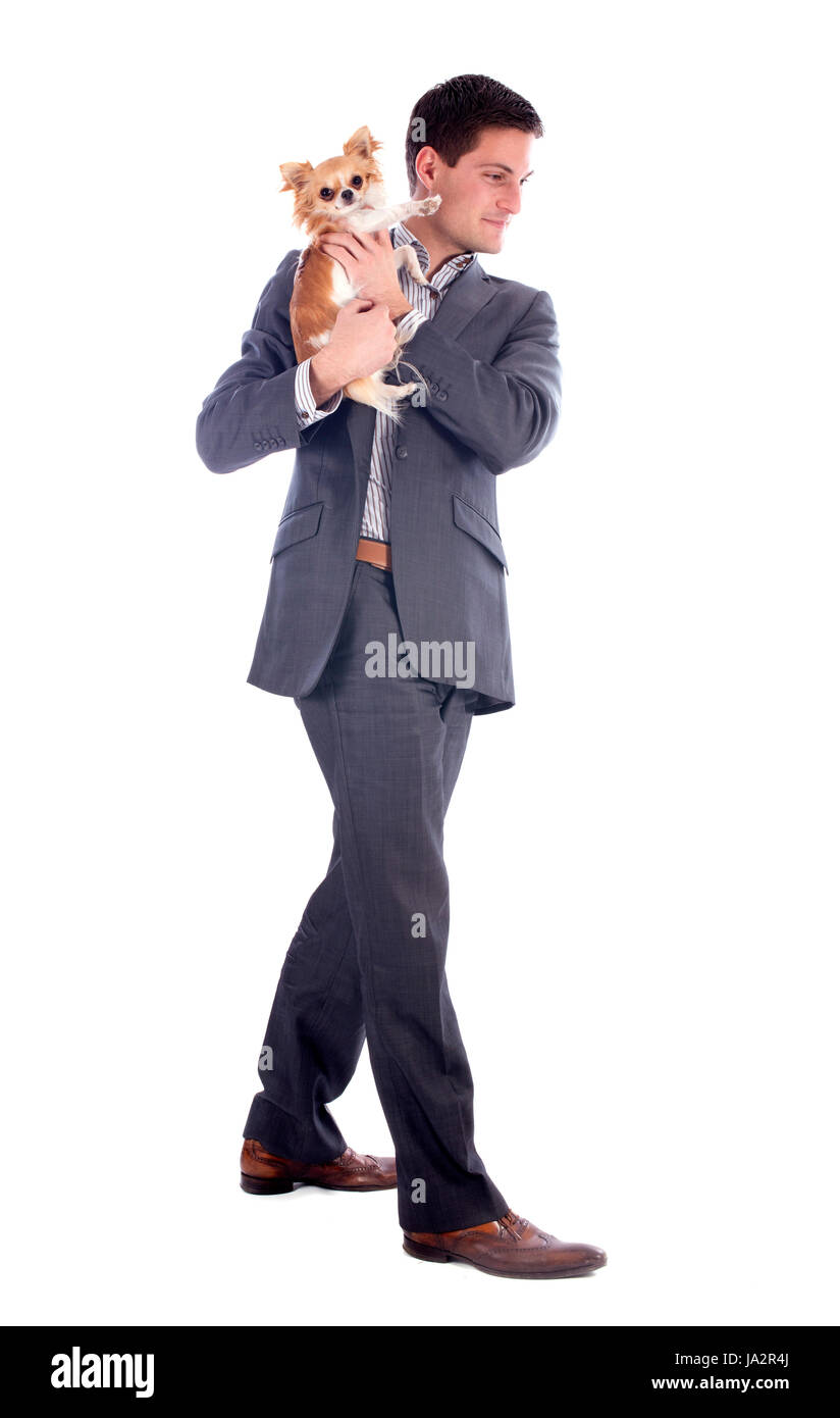 blue, dog, adult, leader, captain, chieftain, chief, boss, manager ...