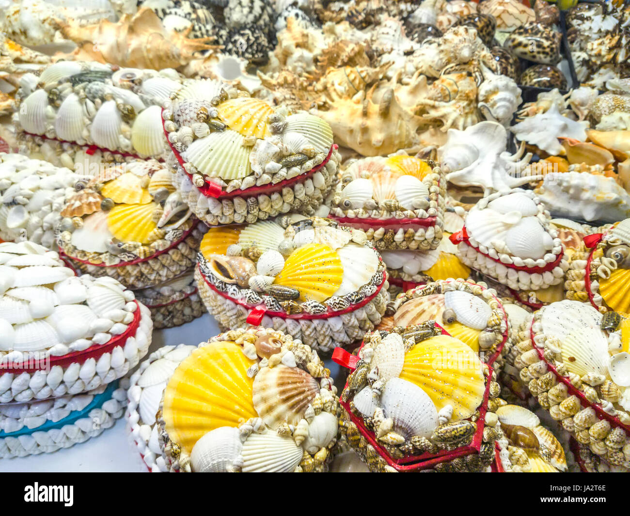 Sea shells for sale in a souvenir shop Stock Photo - Alamy