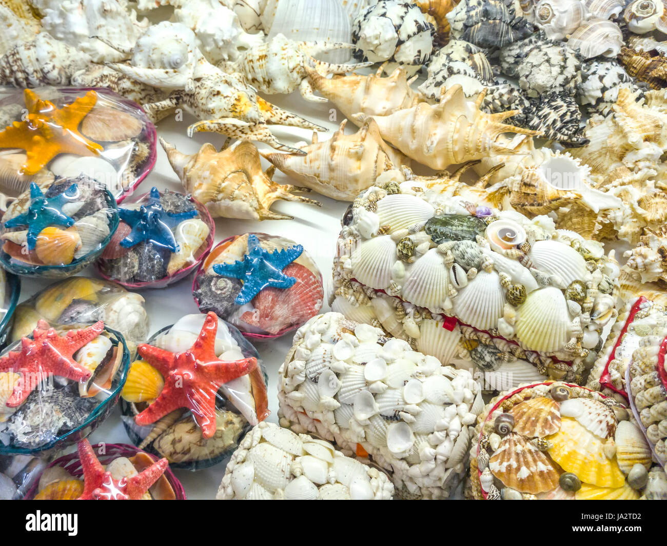 Sea shells for sale in a souvenir shop Stock Photo - Alamy