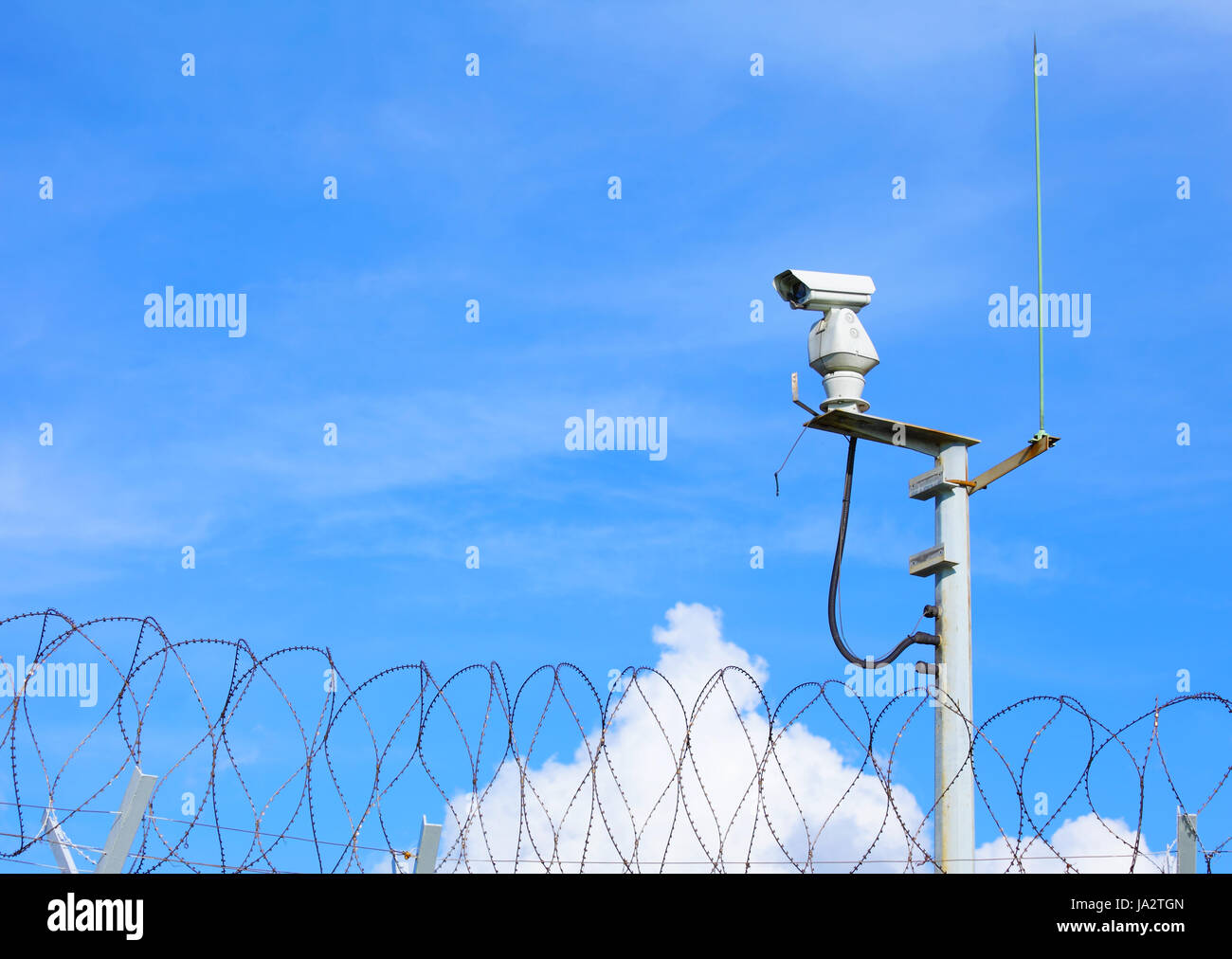 private, guard, look, glancing, see, view, looking, peeking, looking at ...