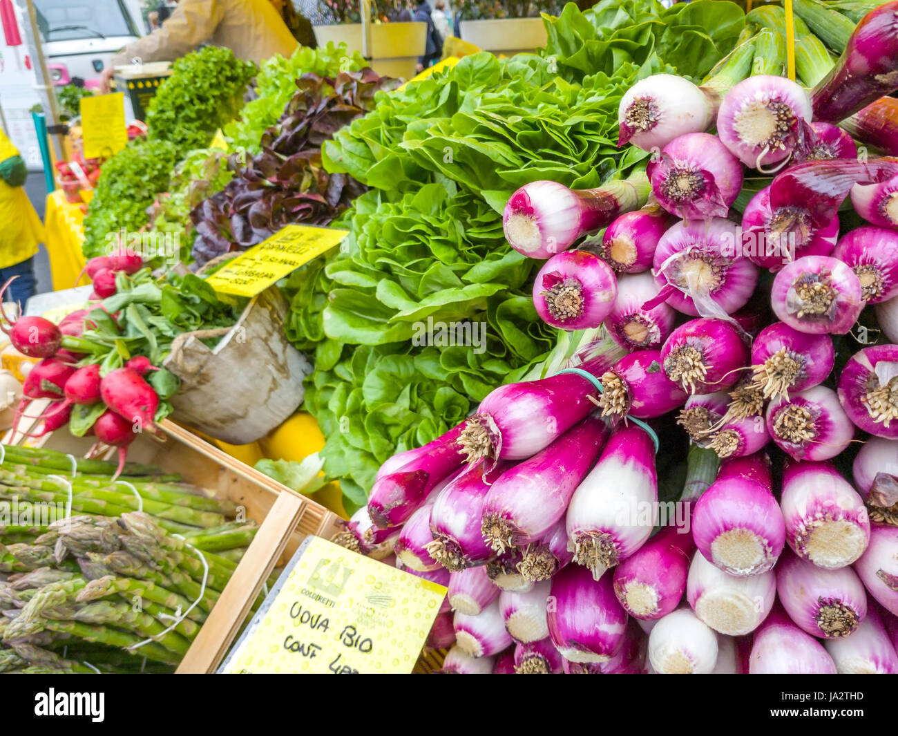 VENICE, ITALY - MAY 07, 2017: Farm street market direct from farmer ...