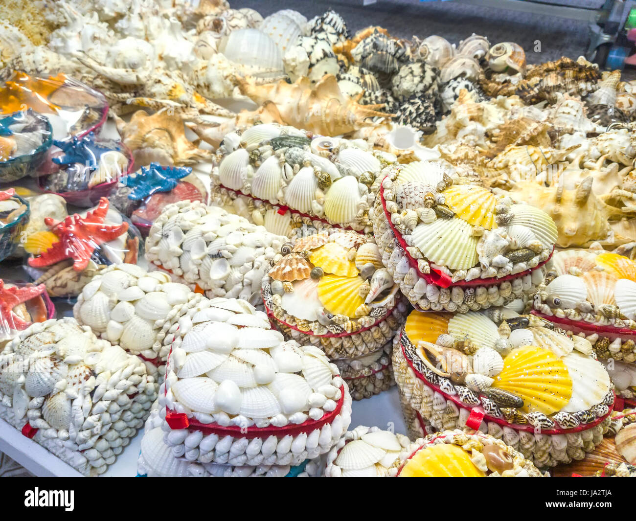 Sea shells for sale in a souvenir shop Stock Photo - Alamy