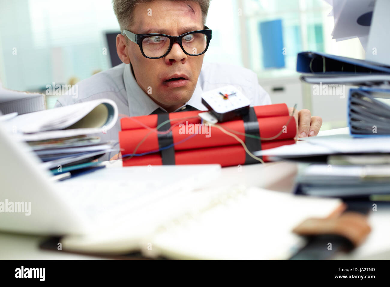 humans, human beings, people, folk, persons, human, human being, career ...