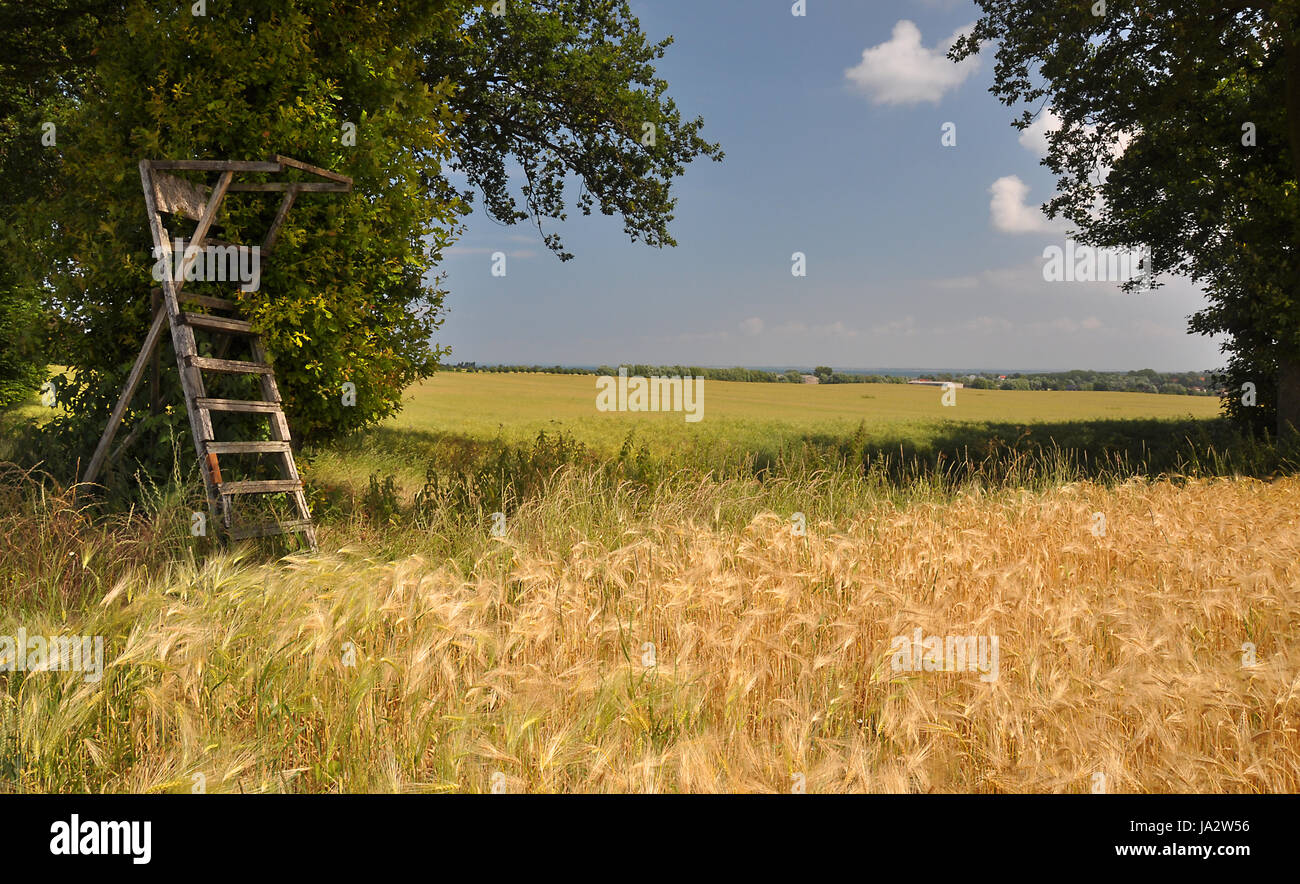 agrarian, agriculture, farming, water, baltic sea, salt water, sea ...
