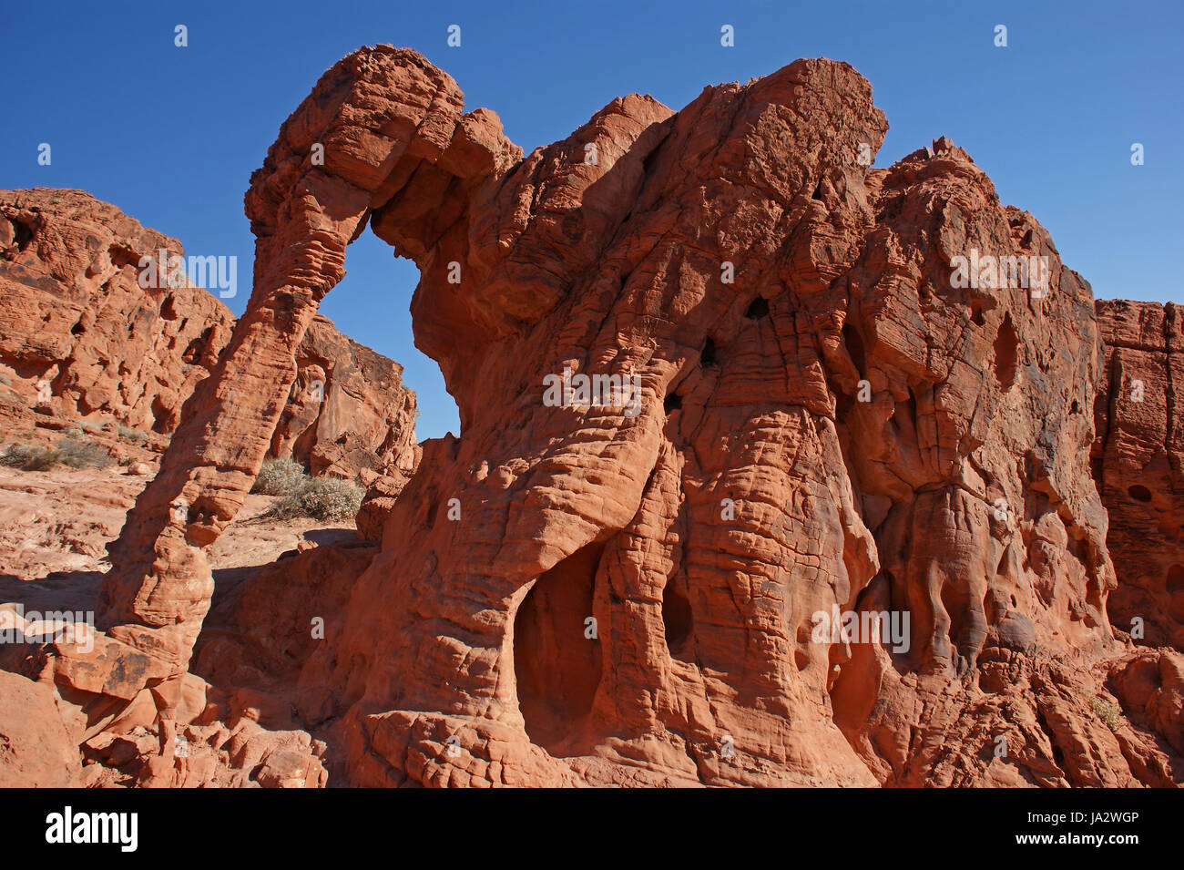 elephant, america, nevada, scenery, countryside, nature, blue, famous ...