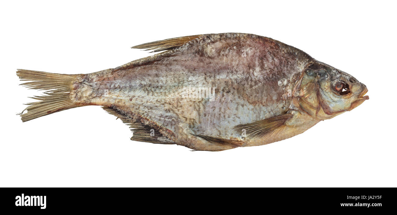 dried fish bream isolated on white background Stock Photo - Alamy