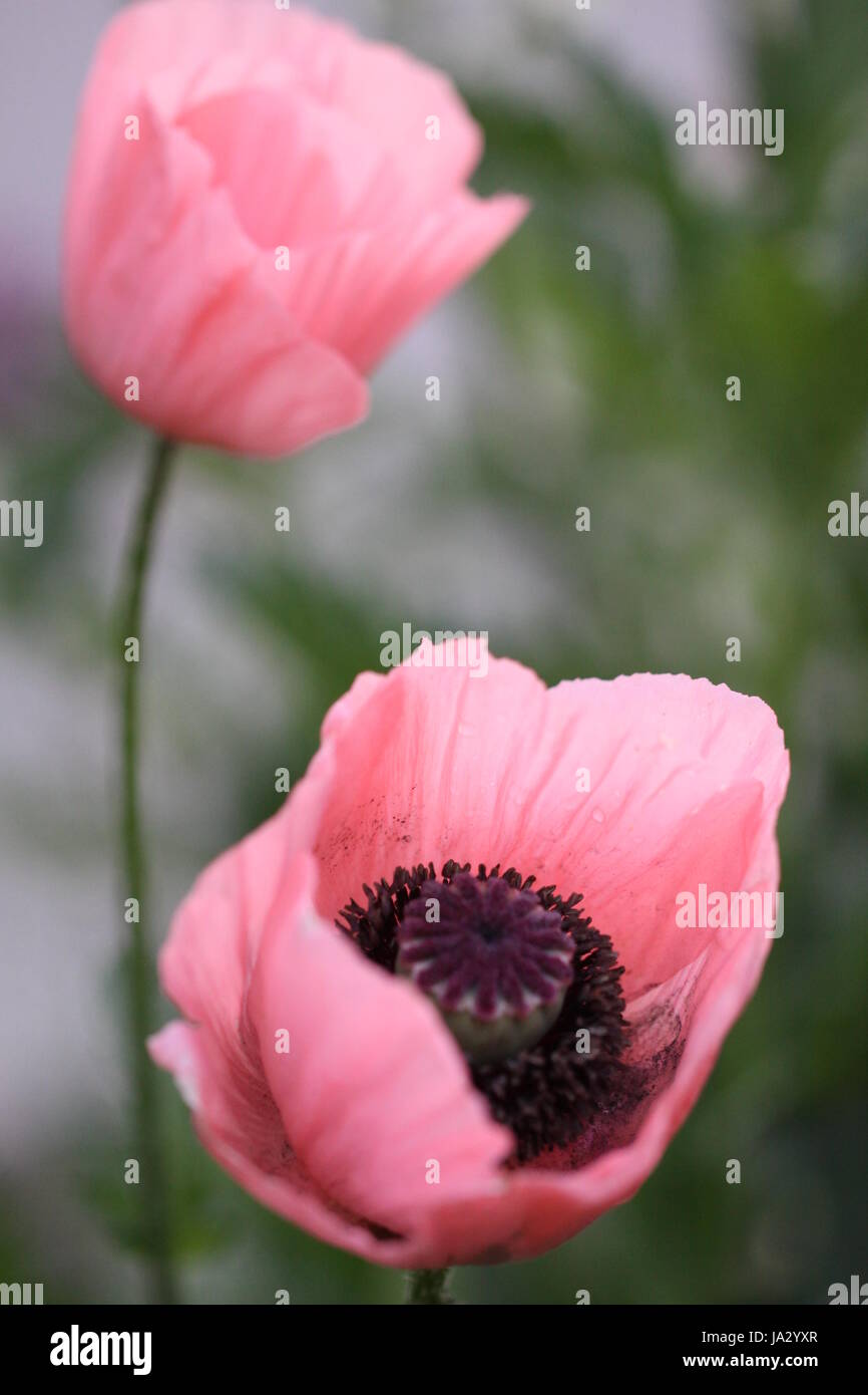 Grkarte hi-res stock photography and images - Alamy