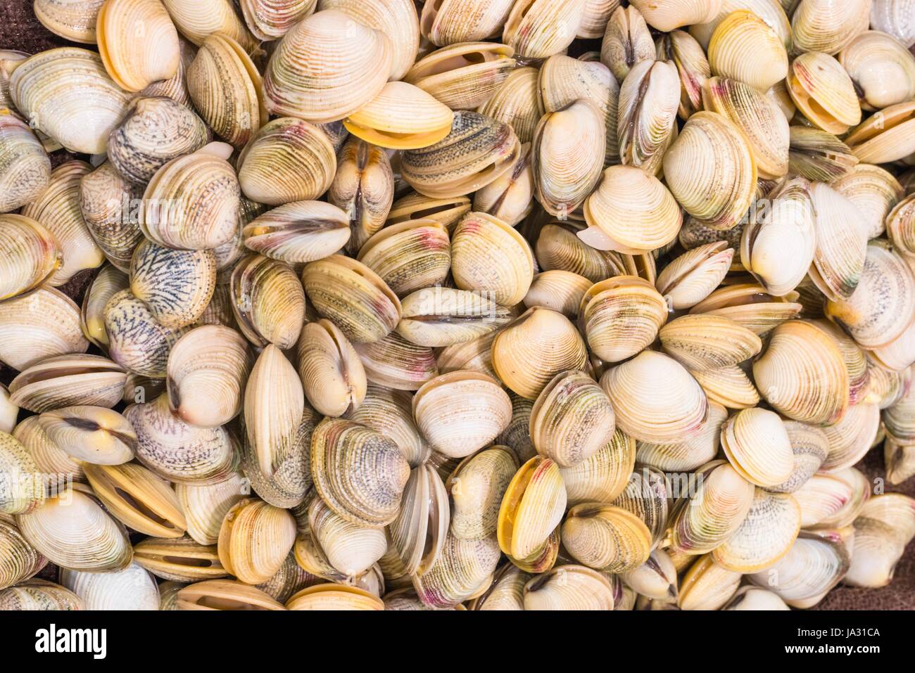 Vongole hi-res stock photography and images - Alamy