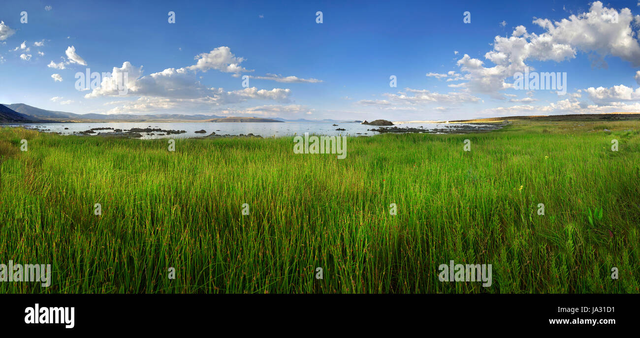 mono lake with meadow Stock Photo - Alamy
