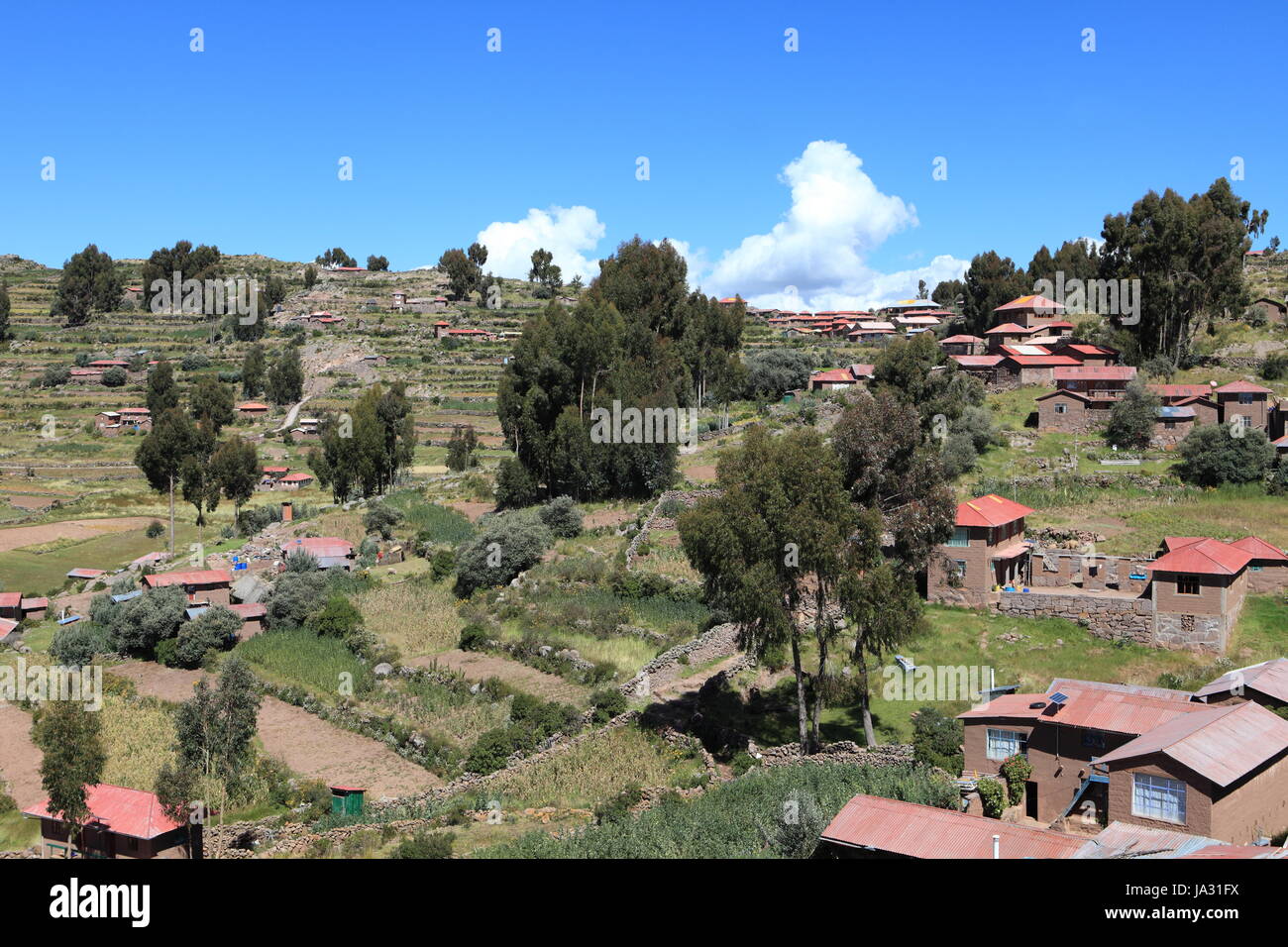 agriculture, farming, terraces, south america, peru, bolivia, community ...