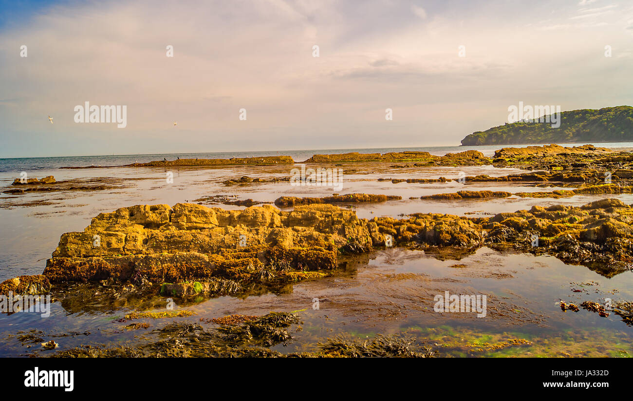 Rock Pools at the Swanage,Dorset,Coast Stock Photo - Alamy