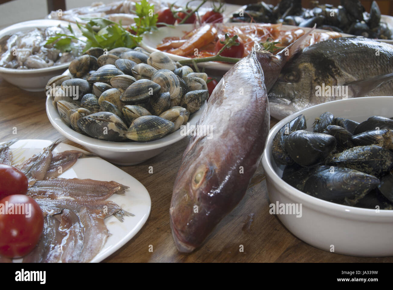 water, mediterranean, salt water, sea, ocean, angle, fish, fresh ...