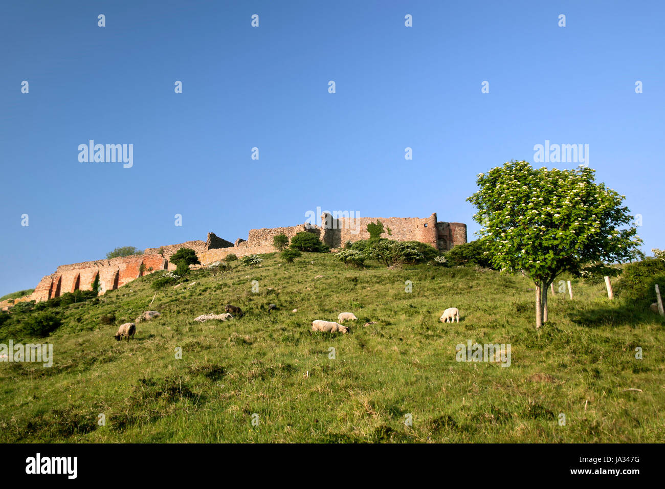Hammershus burgruine hi-res stock photography and images - Alamy