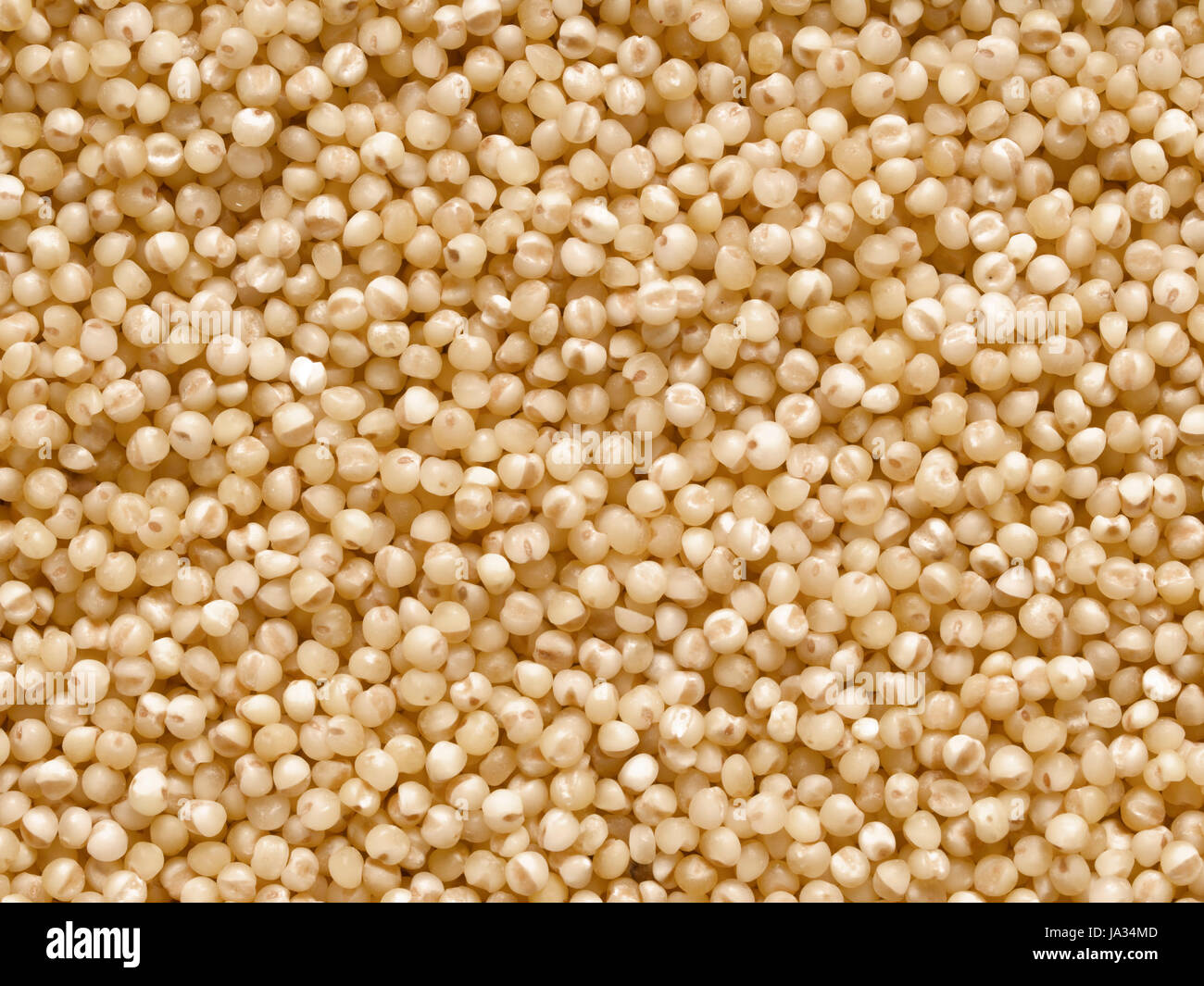 grain, vegetable, seed, vegetarian, cereal, millet, ingredient, yellow ...