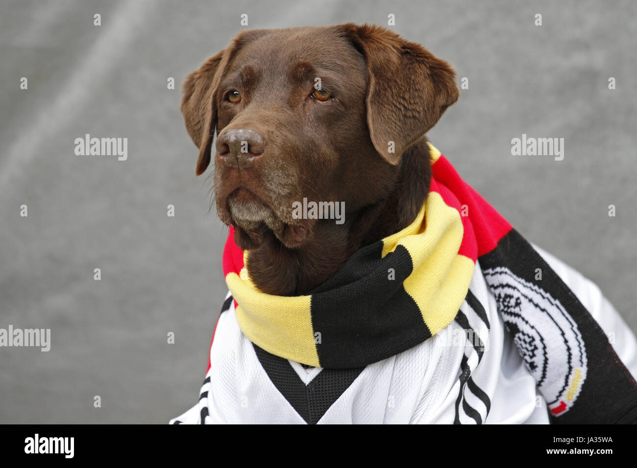 German national football team jersey hi-res stock photography and ...