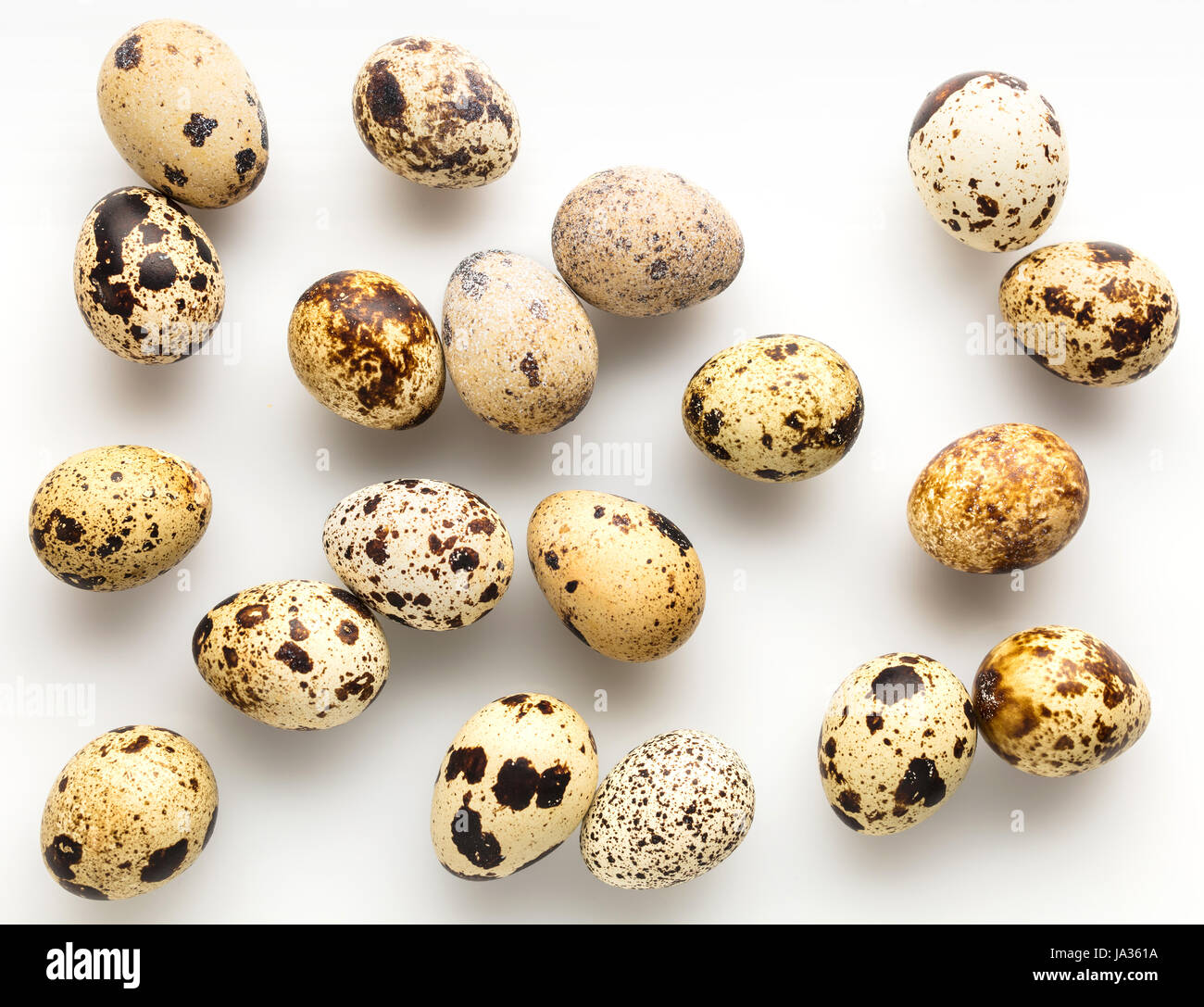 raw quail eggs closeup on a white background Stock Photo - Alamy