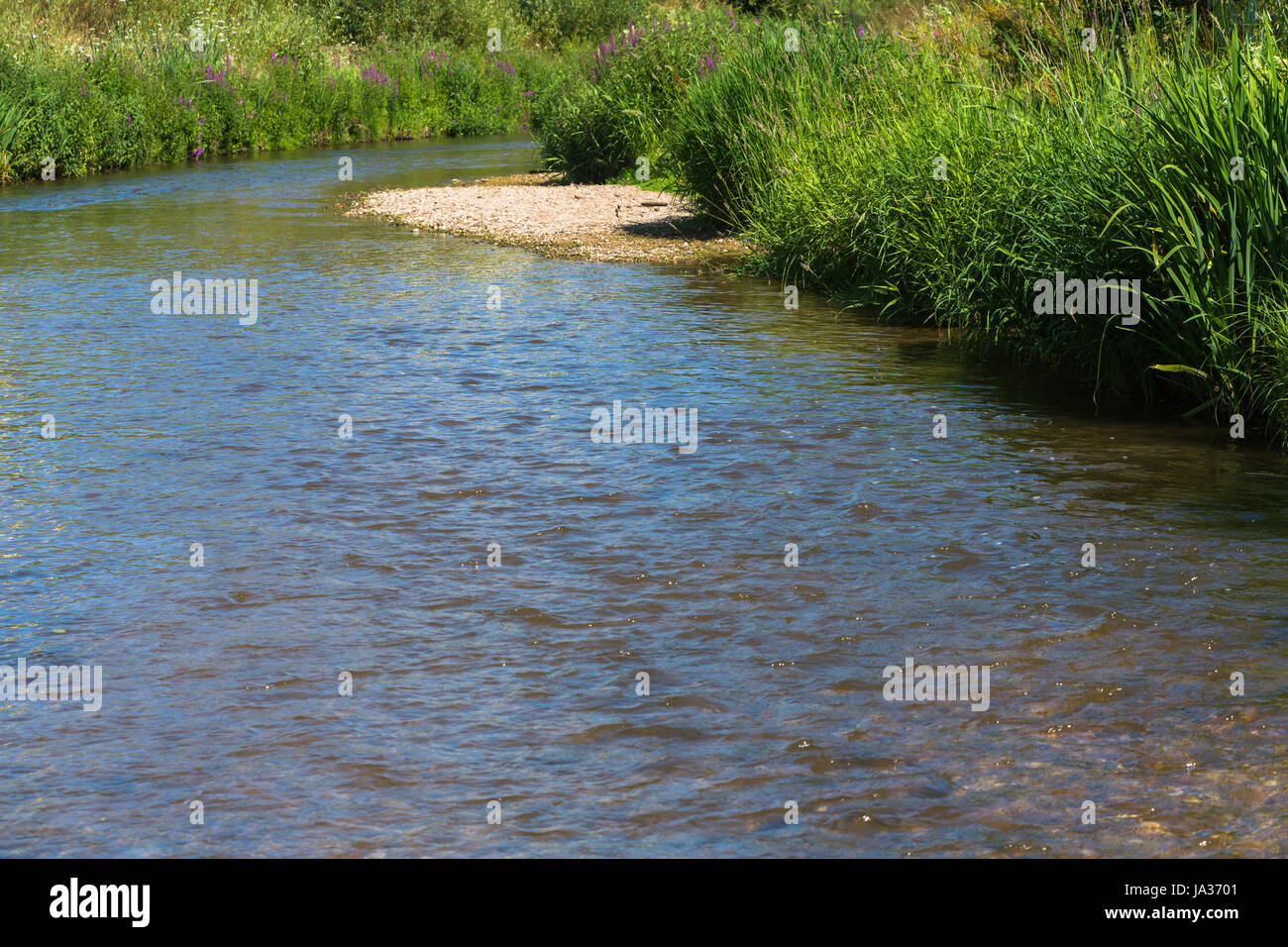 waters, stream, sandbank, bank of a river, river-bank, scenery ...
