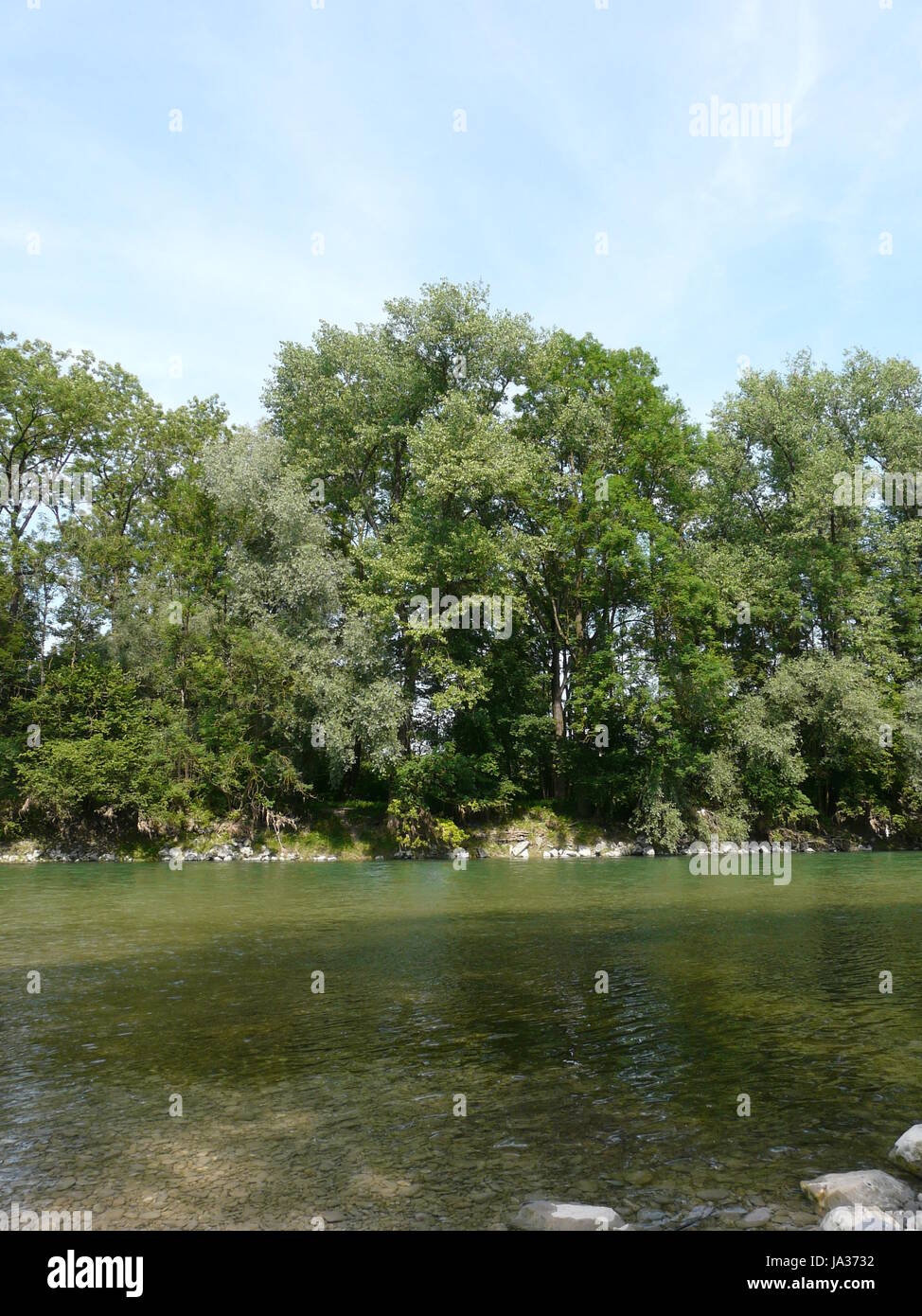 wildlife, motive, backdrop, background, river, water, nature, fresh ...