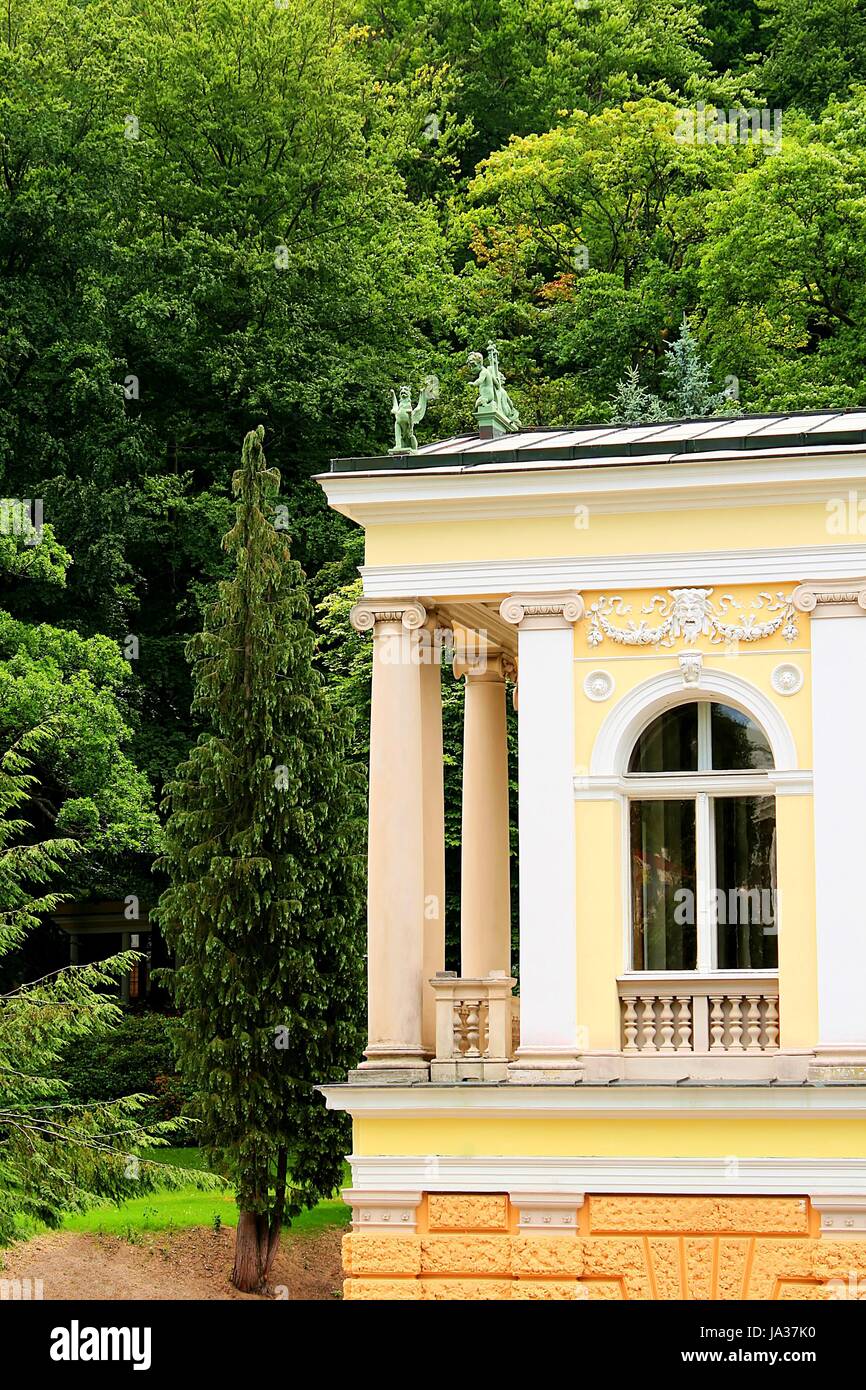 tree, trees, window, porthole, dormer window, pane, columns, facade ...