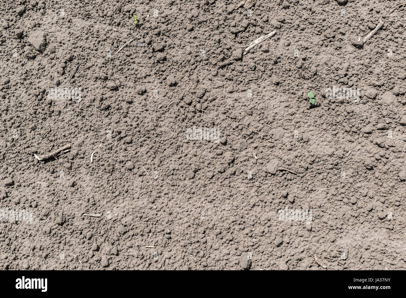 Cultivated soil on the field texture background Stock Photo - Alamy