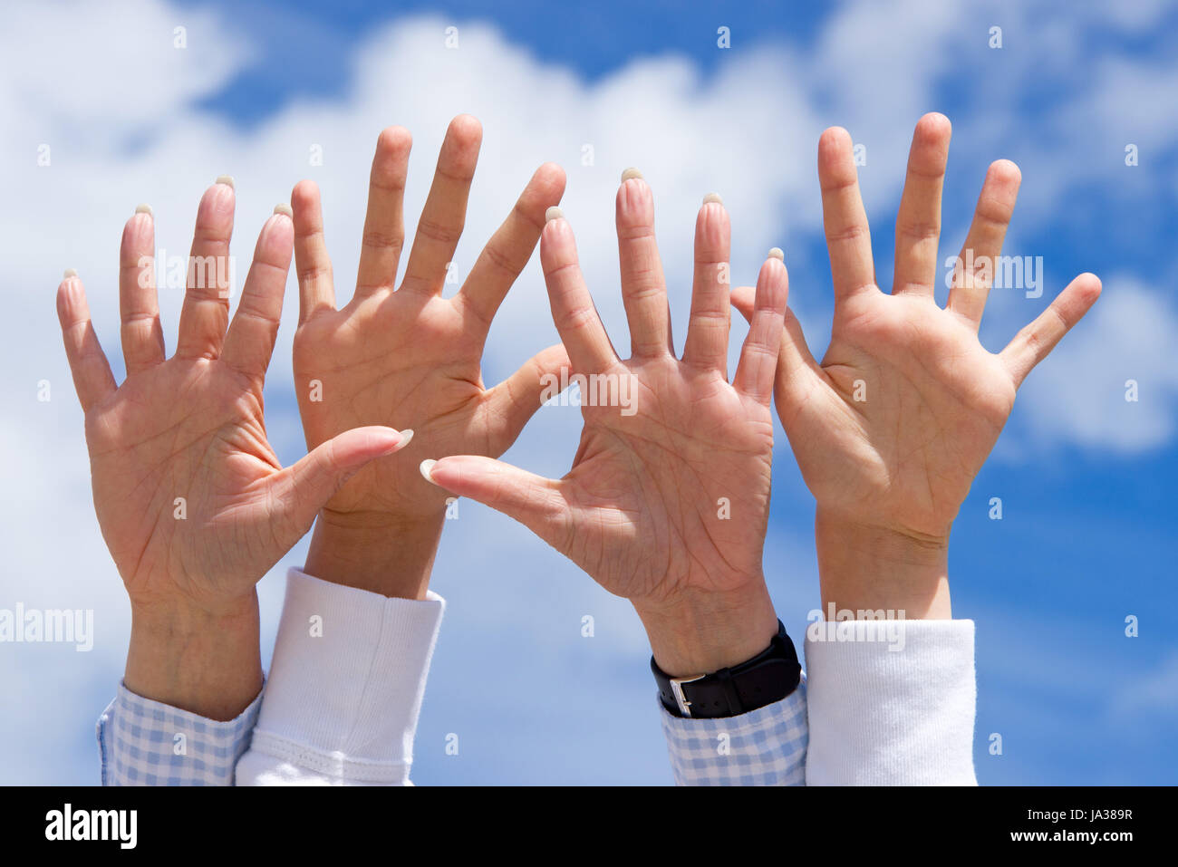 humans, human beings, people, folk, persons, human, human being, hand ...