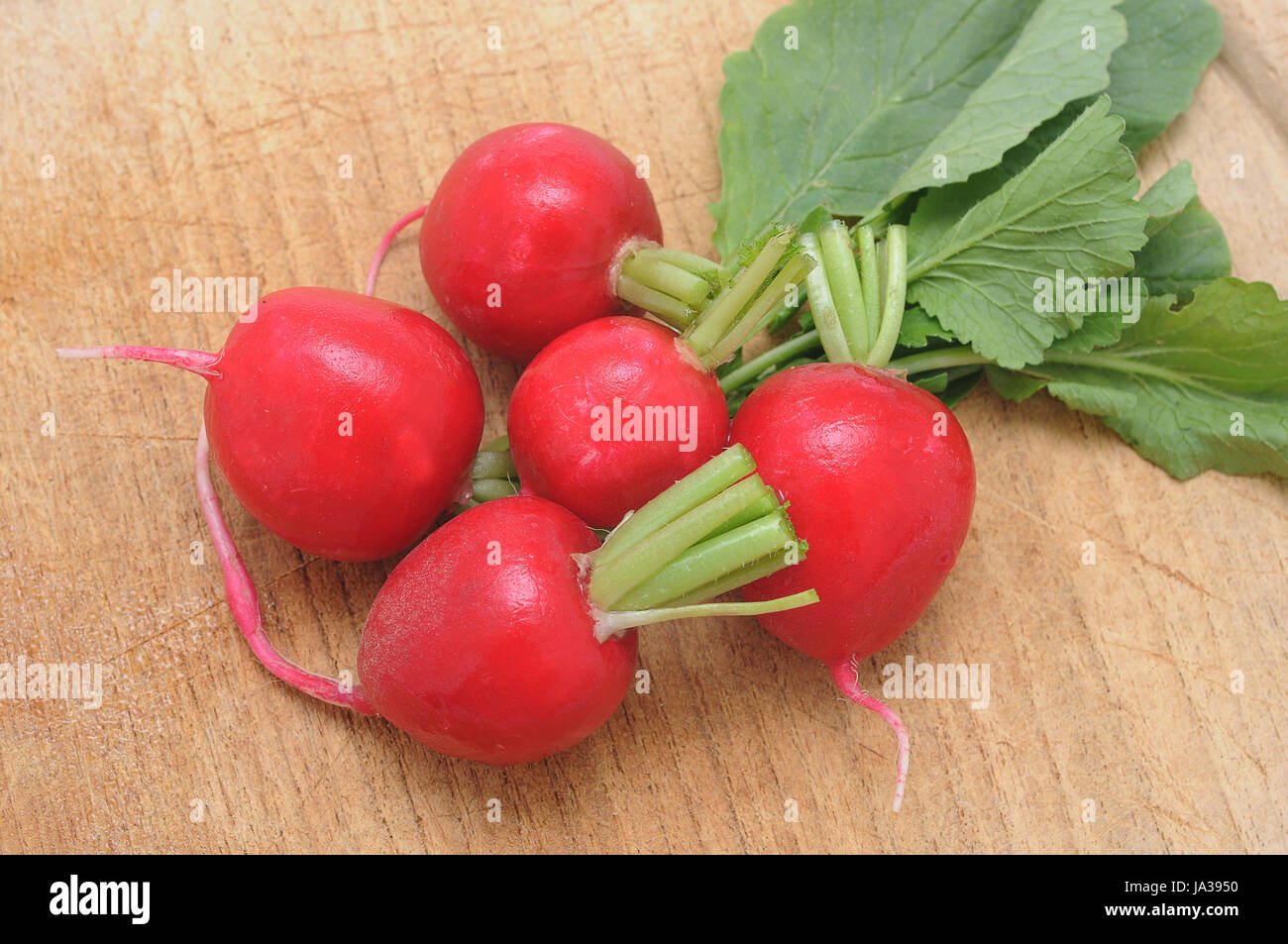 Radieschensorte hi-res stock photography and images - Alamy