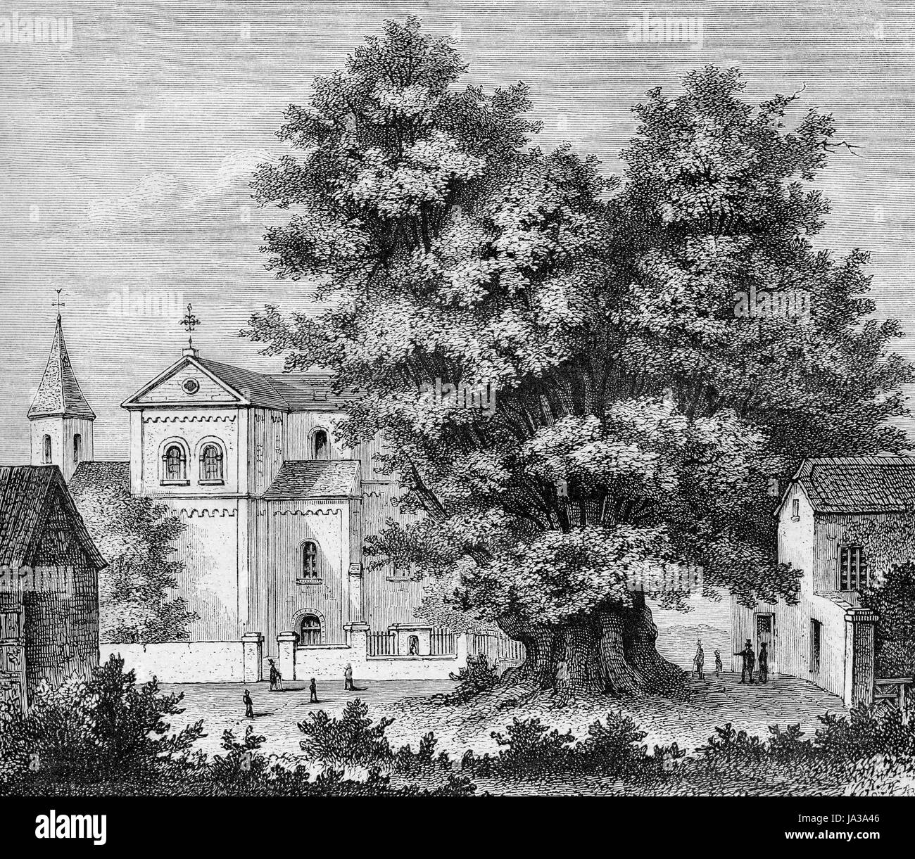 Germany, Huge linden-tree patch in Aachen, vintage engraving Stock ...