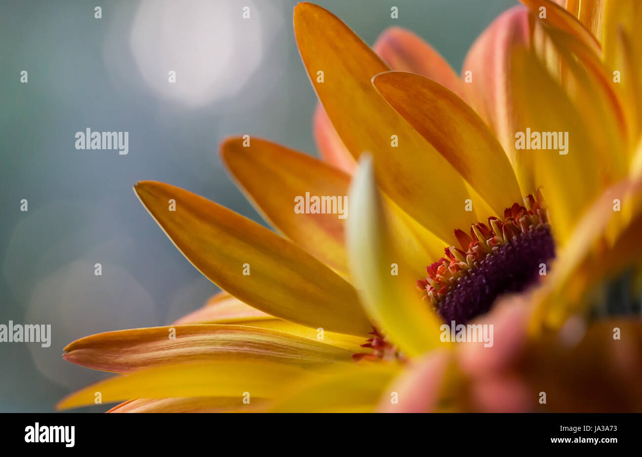 Cheerfulness of bright colours hi-res stock photography and images - Alamy