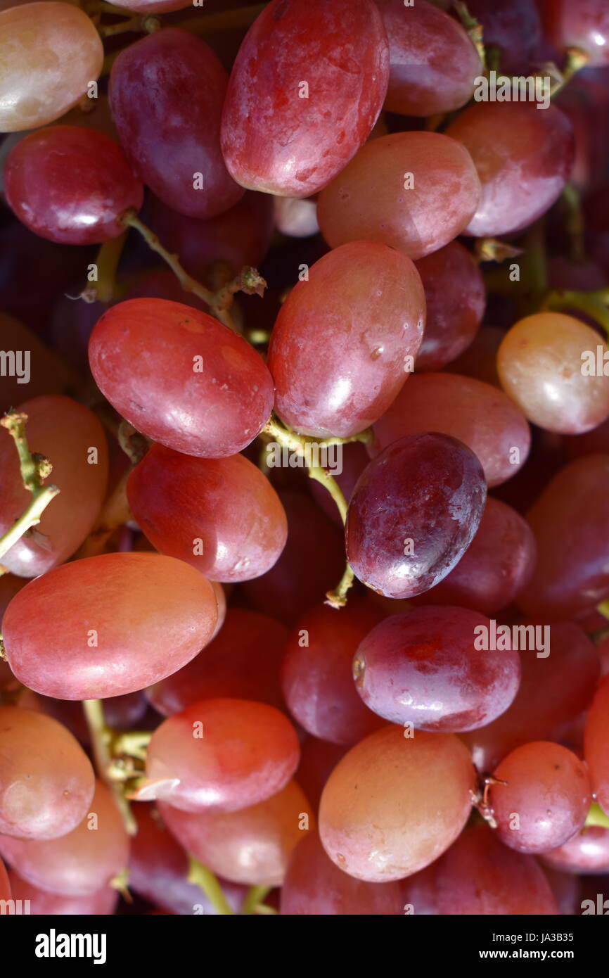 Uvas rojas hi-res stock photography and images - Alamy