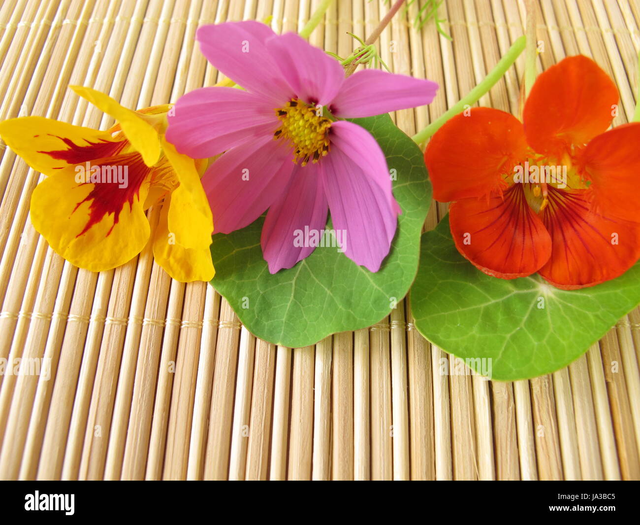 flower, flowers, plant, blossoms, ostrich, edible, bleed, nosegay ...